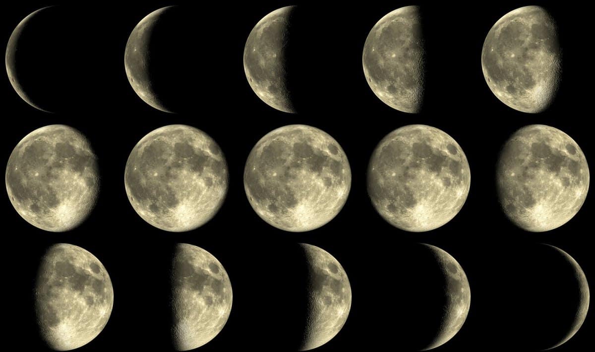 Mėnulio Fazių Kalendorius 2025: Optimalus Gidas Sodininkams ir ...